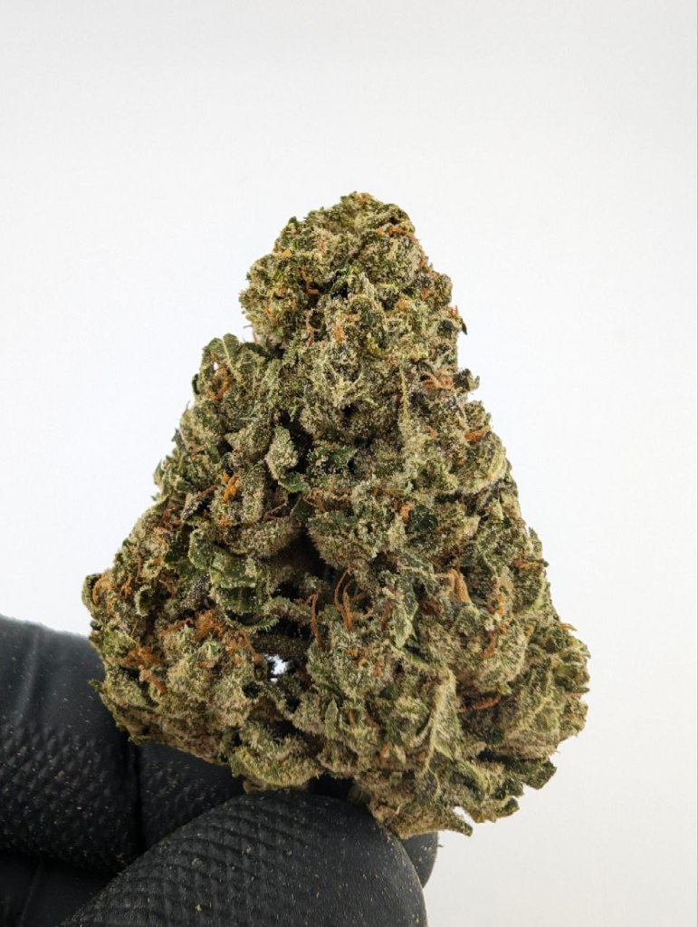 Light Dep Bigs – Queen Tetra's Exclusive Menu