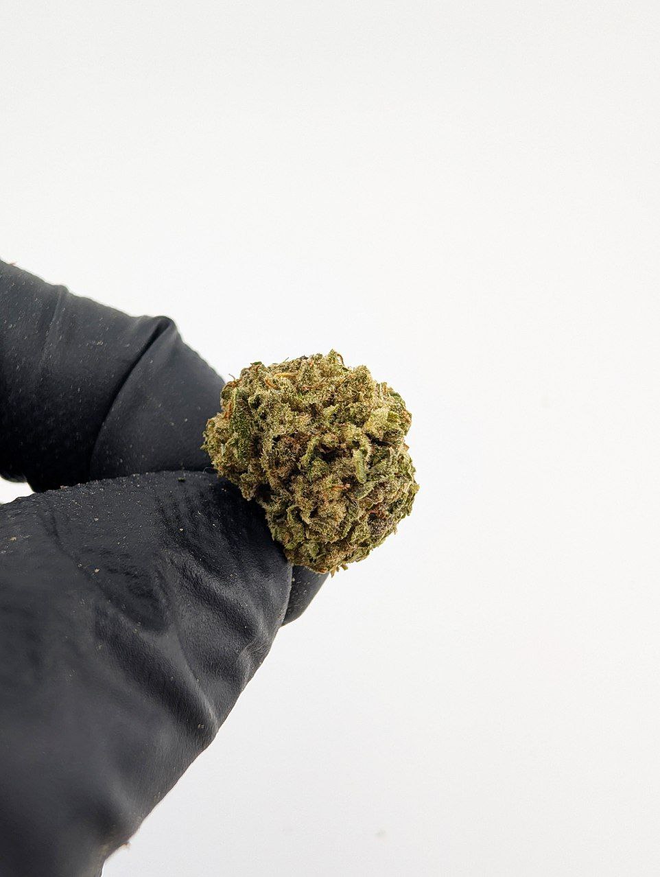 Light Dep Smalls – Queen Tetra's Exclusive Menu